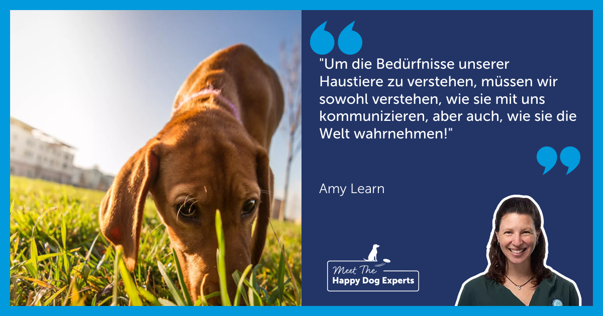 Der Tastsinn des Hundes | ADAPTIL